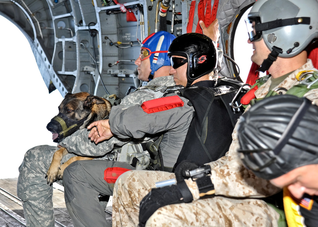 Jumpin’ Military Dogs! – Loraine Nunley, Author