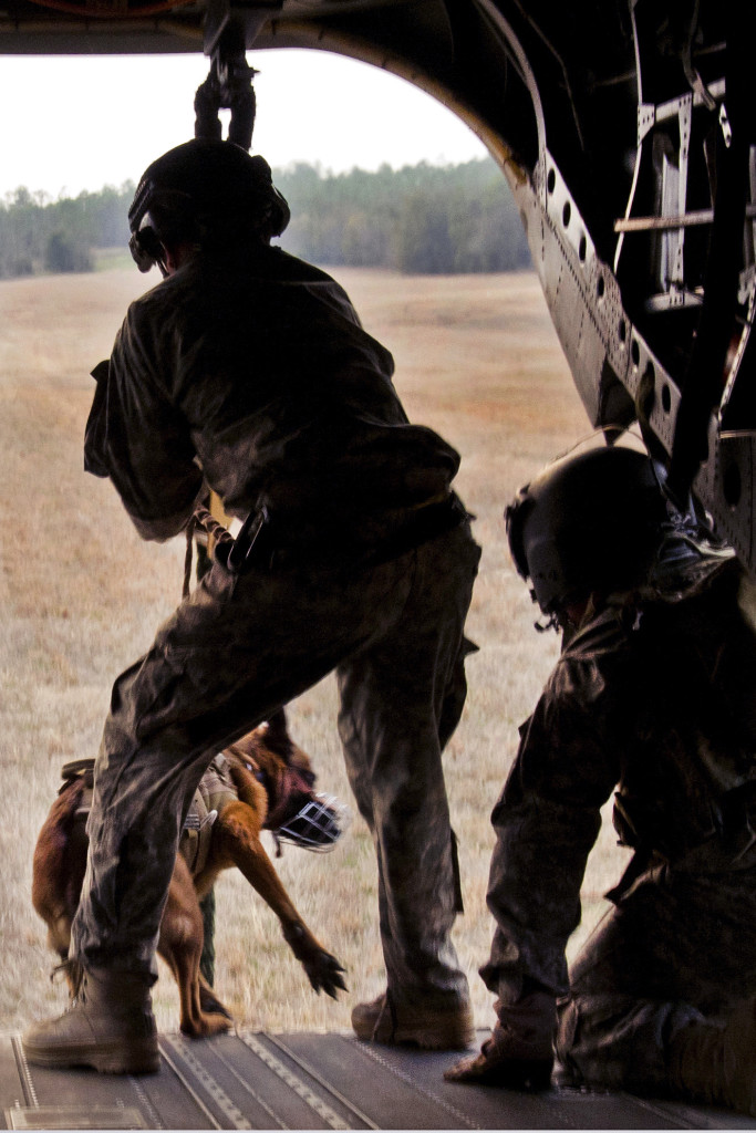 Jumpin’ Military Dogs! – Loraine Nunley, Author
