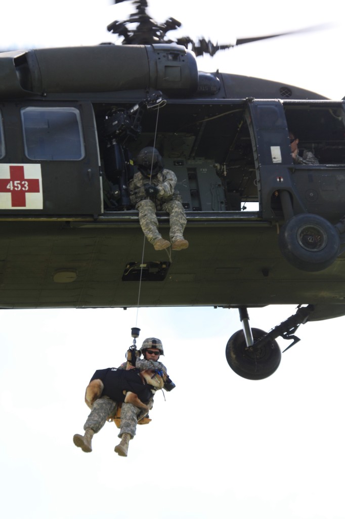 Jumpin’ Military Dogs! – Loraine Nunley, Author