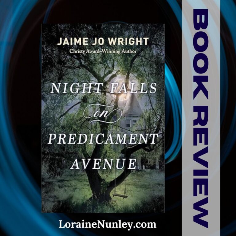 Book Review: Night Falls on Predicament Avenue by Jaime Jo Wright ...